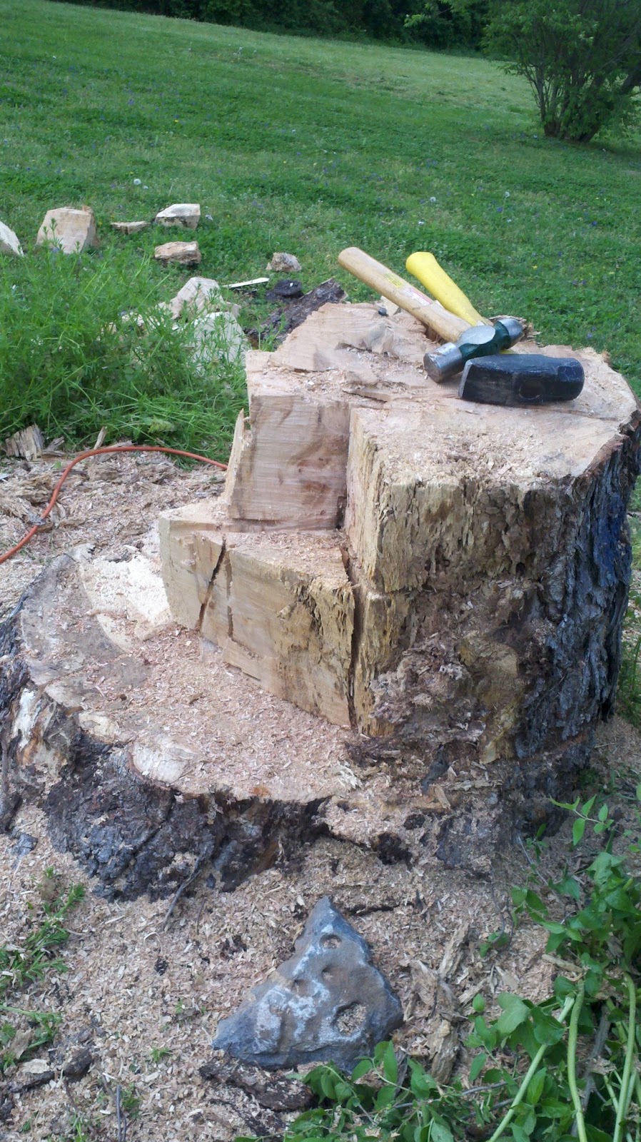 Ft Sussex : Great Outdoors: Stump Leveling: advanced achievement