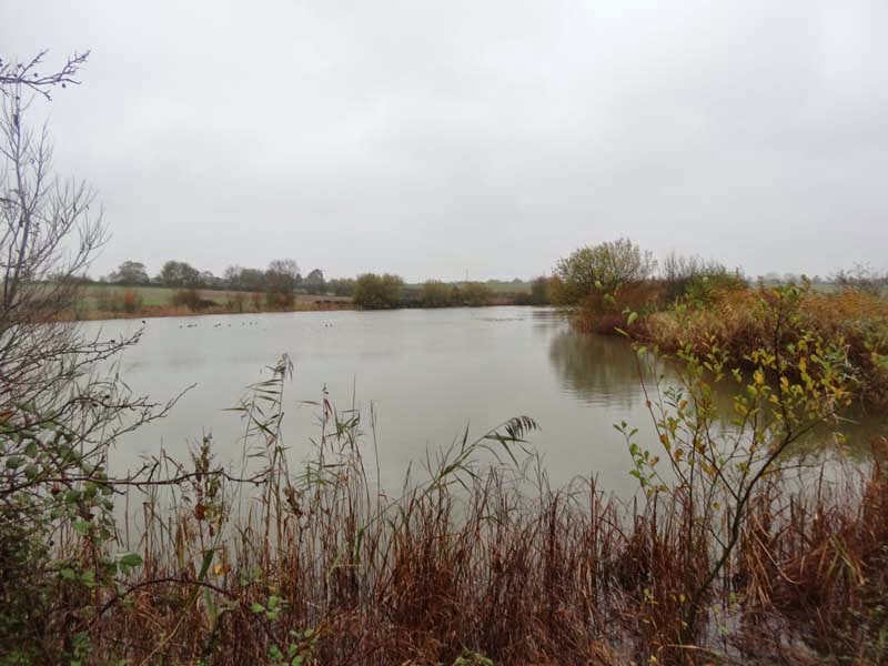 MERSEA WILDLIFE: WET STROOD CIRCUIT