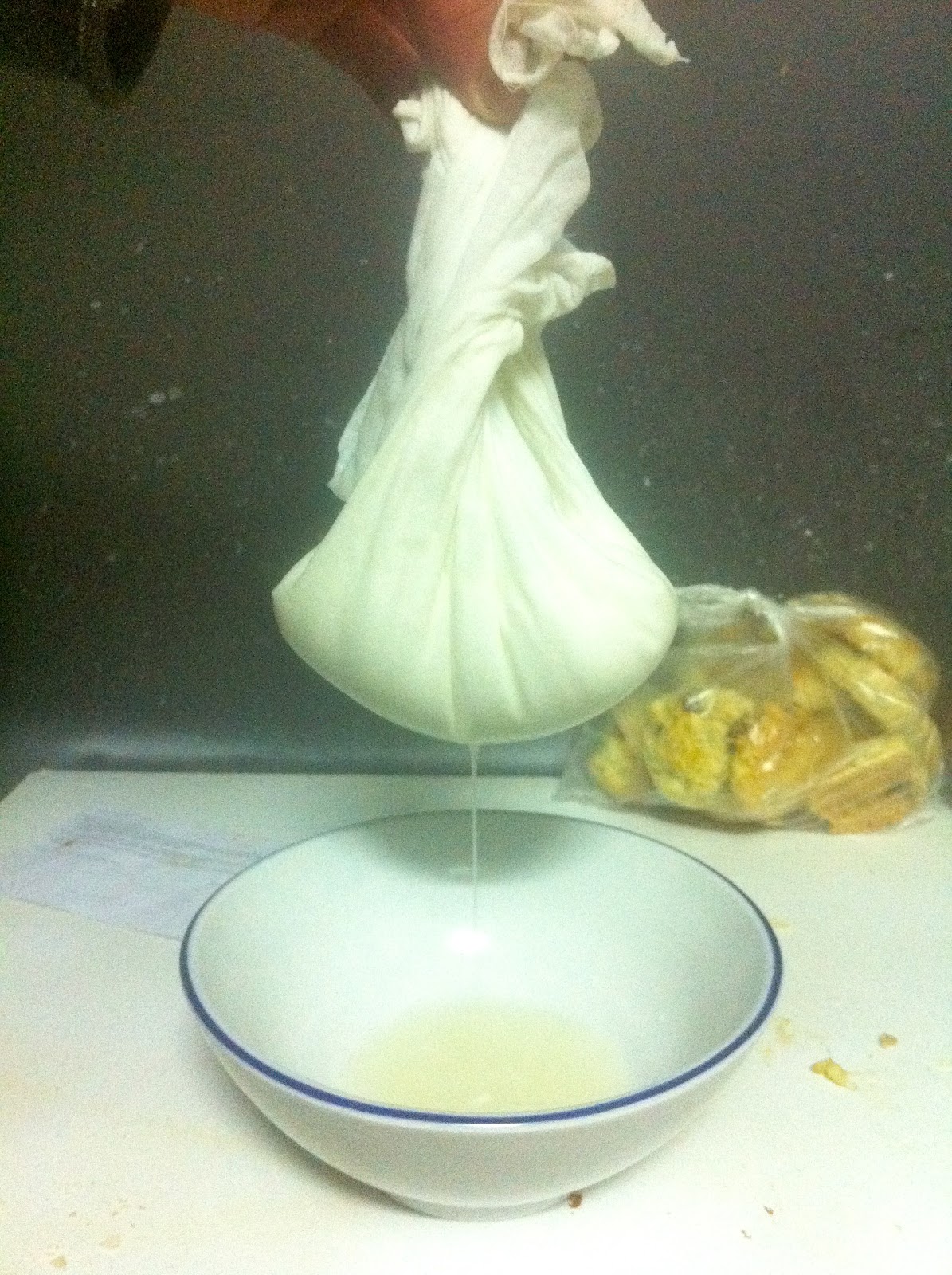 Knifing Forking Spooning: Homemade Mozzarella