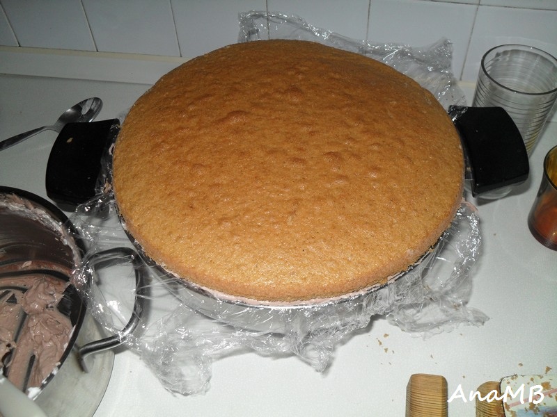 Torta bubamara / Ladybug bday cake