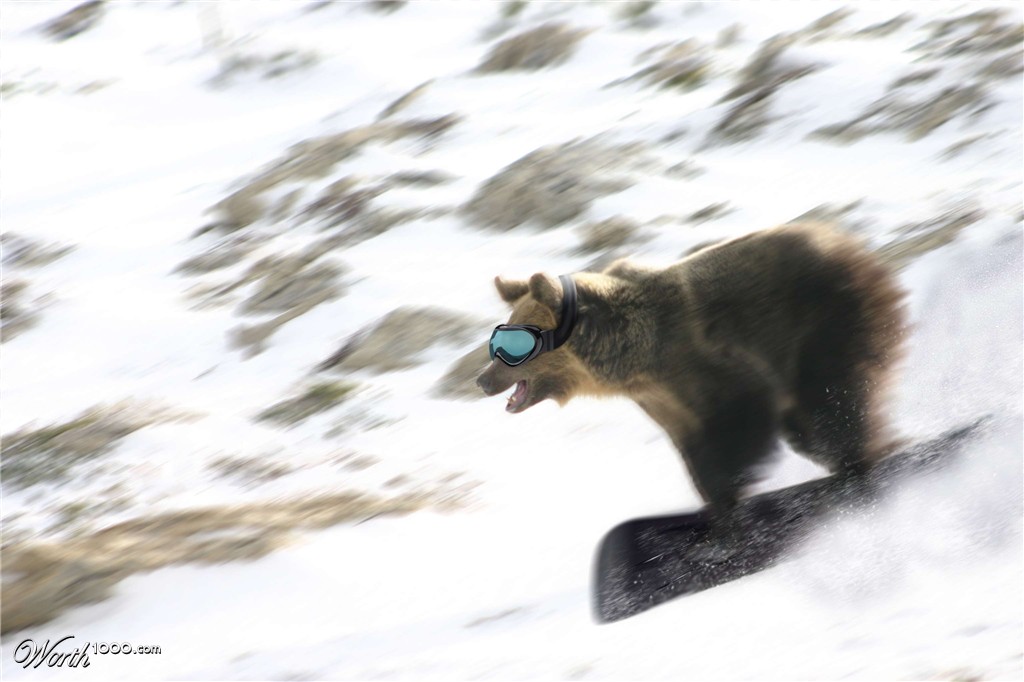 Worth1000 closure wreaks devastation on the snowboarding penguin ...