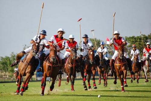 Cultura general en 10 minutos diarios: Polo: el deporte de Reyes