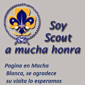 Scouts de chile: Sobre la manada (Lobato)
