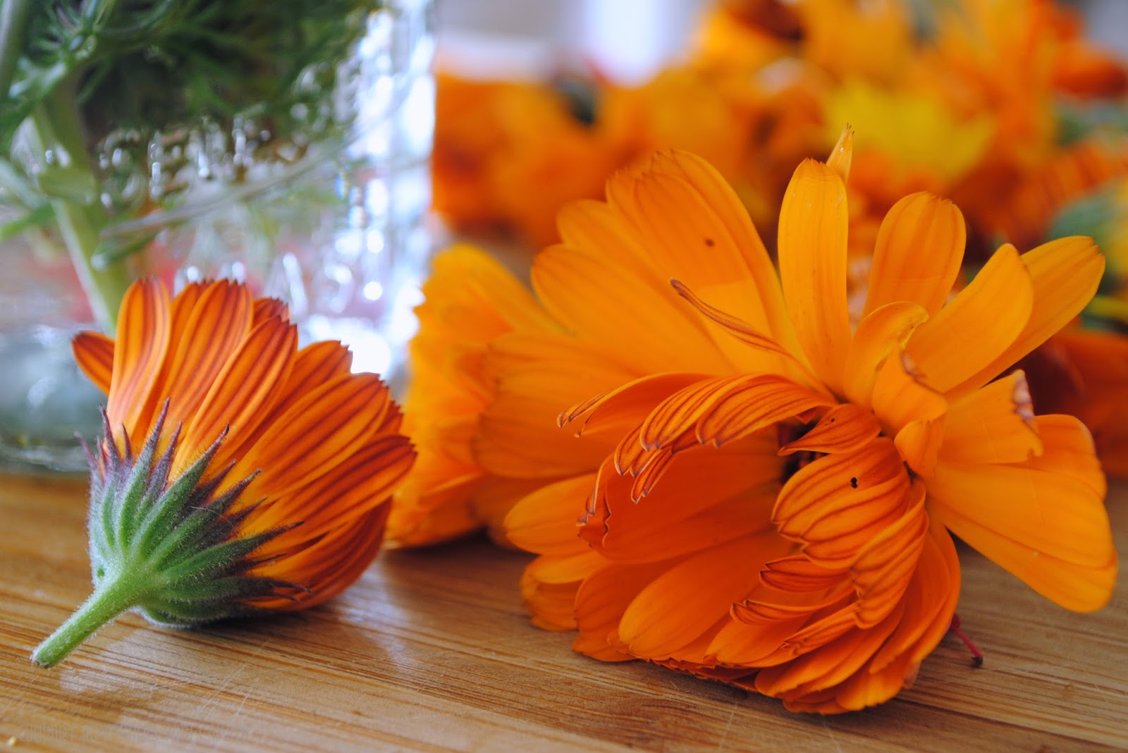 Summer Sunset Salad with Calendula Vinaigrette