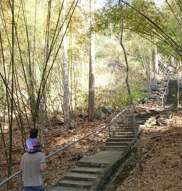 Hellfire Pass, Sai Yok Waterfall and the Tiger Temple