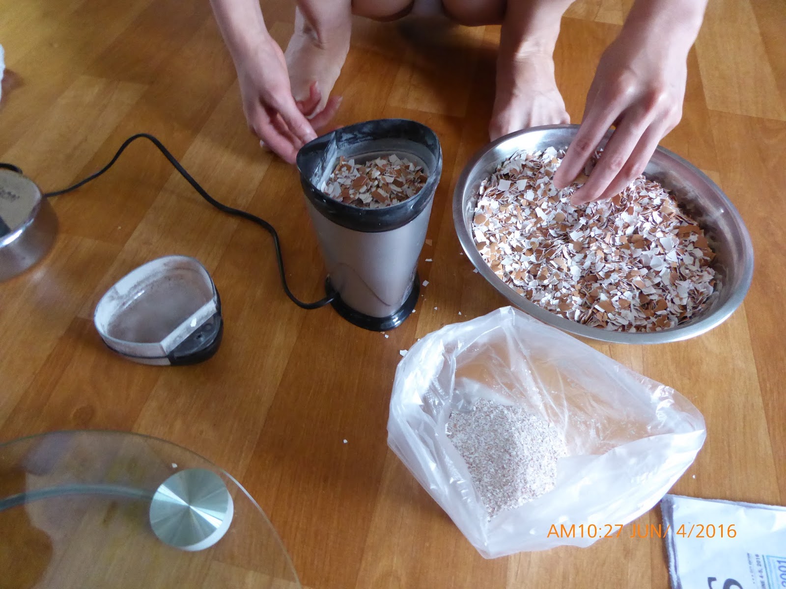 and Life goes on...: Grinding Egg Shells for Fertilizer