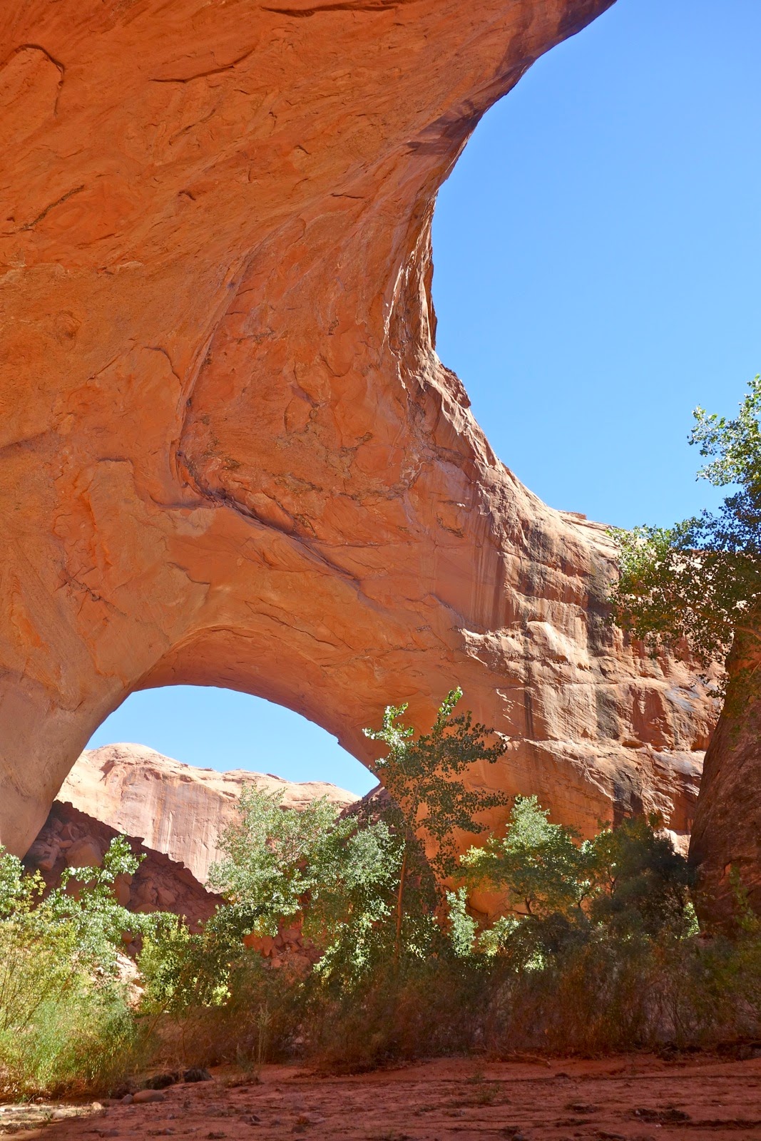 Earthline: The American West: Jacob Hamblin Arch from Red Well Trailhead