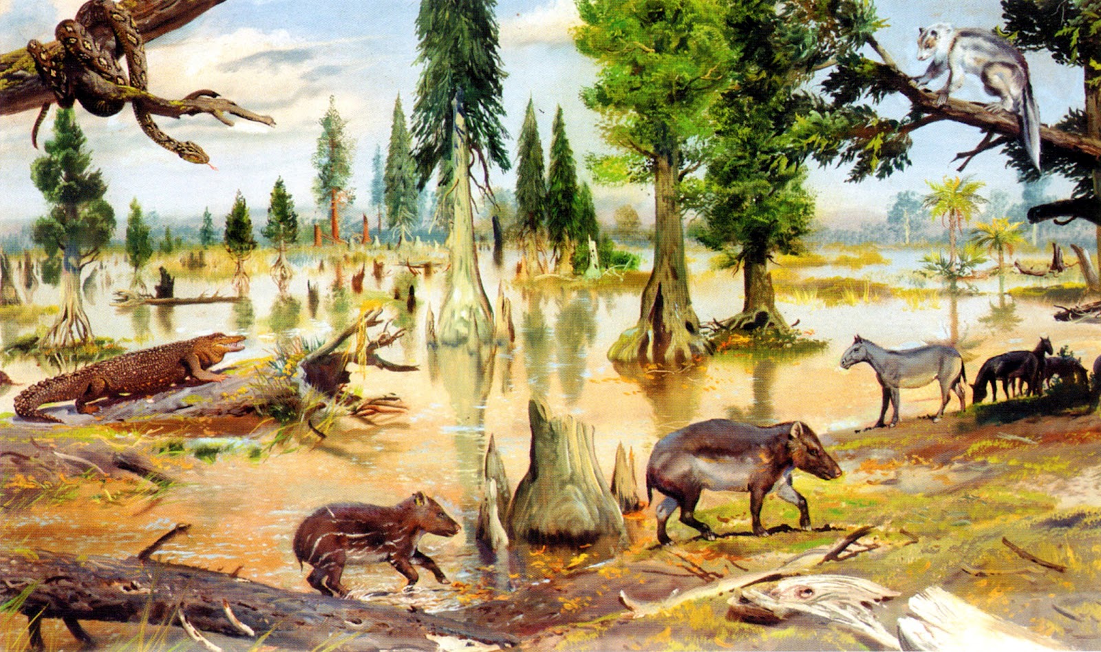 Zdeněk Burian: Eocene Marsh Fauna