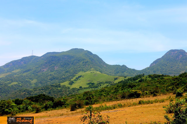 පිටවල පතන (pitawana pathana) - "Thirikkale" (තිරික්කලේ)