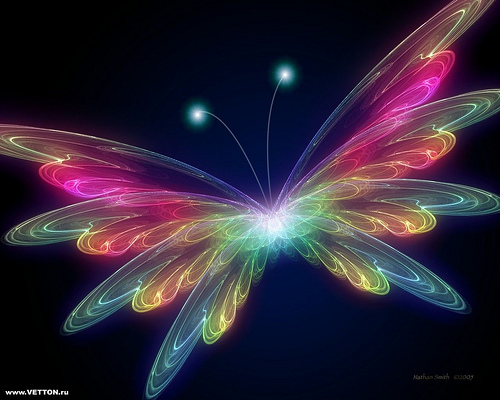 The Fun Starts here!: cool electric butterfly hd wallpaper