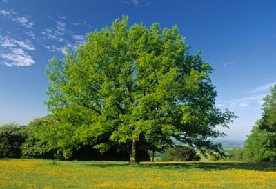 MALIK GK POWER: GENERAL KNOWLEDGE ON UNITED KINGDOM