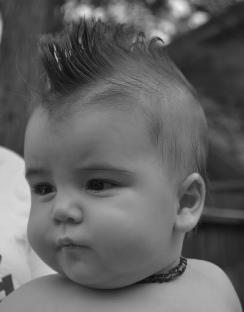 the smores. party of four.: savio's mohawk.