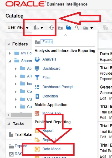 Oracle Business Intelligence Icon