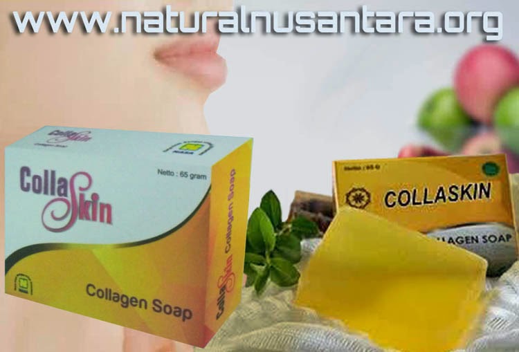 COLLASKIN KOLAGEN NASA | NASA COLLASKIN