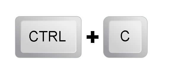 1. Ctrl + C or Ctrl + Insert (COPY)