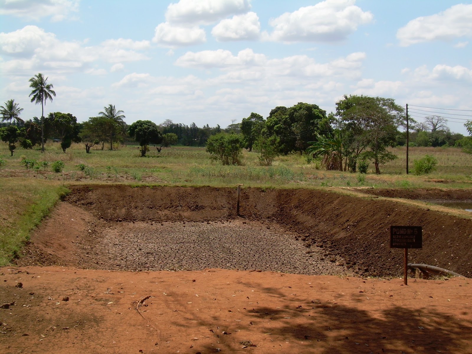 Unawezaje Kutengeneza Bwawa la Kufugia Samaki? – Ufugaji Bora