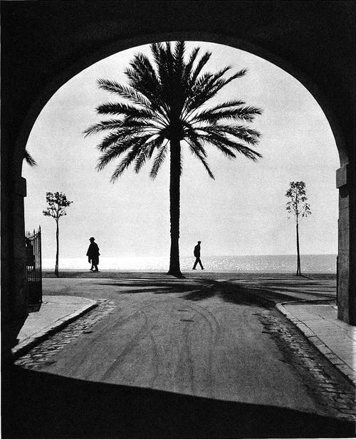 Fragments of Noir: Noir in a Shadow #2