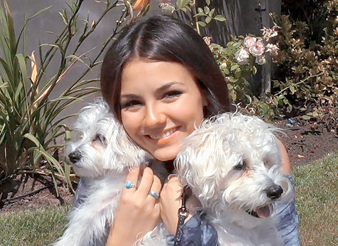 Victoria Justice: Victoria Platica Con Su Mascota