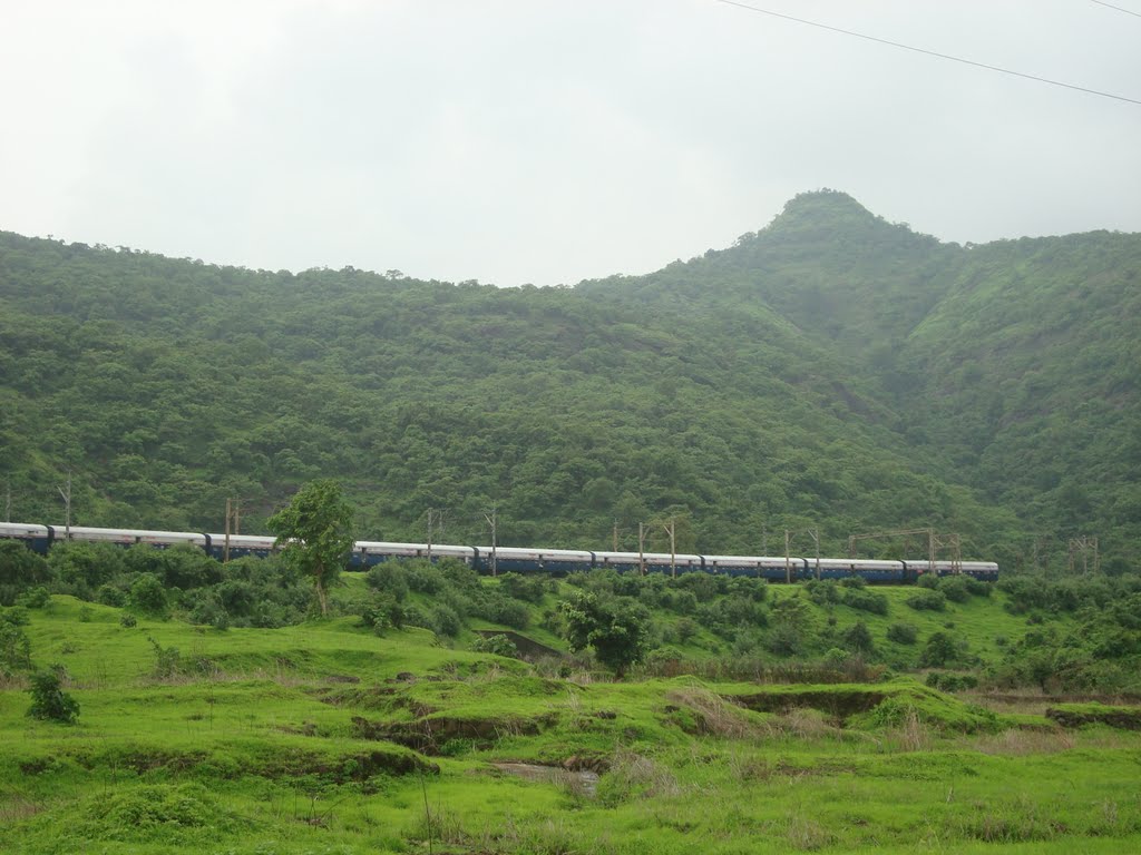 Trekking In Maharashtra: Songiri Fort a.k.a Palasdari Fort (किल्ले ...