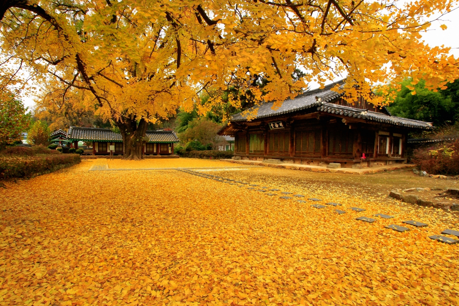 Korea E Tour: Korea Autumn Tour