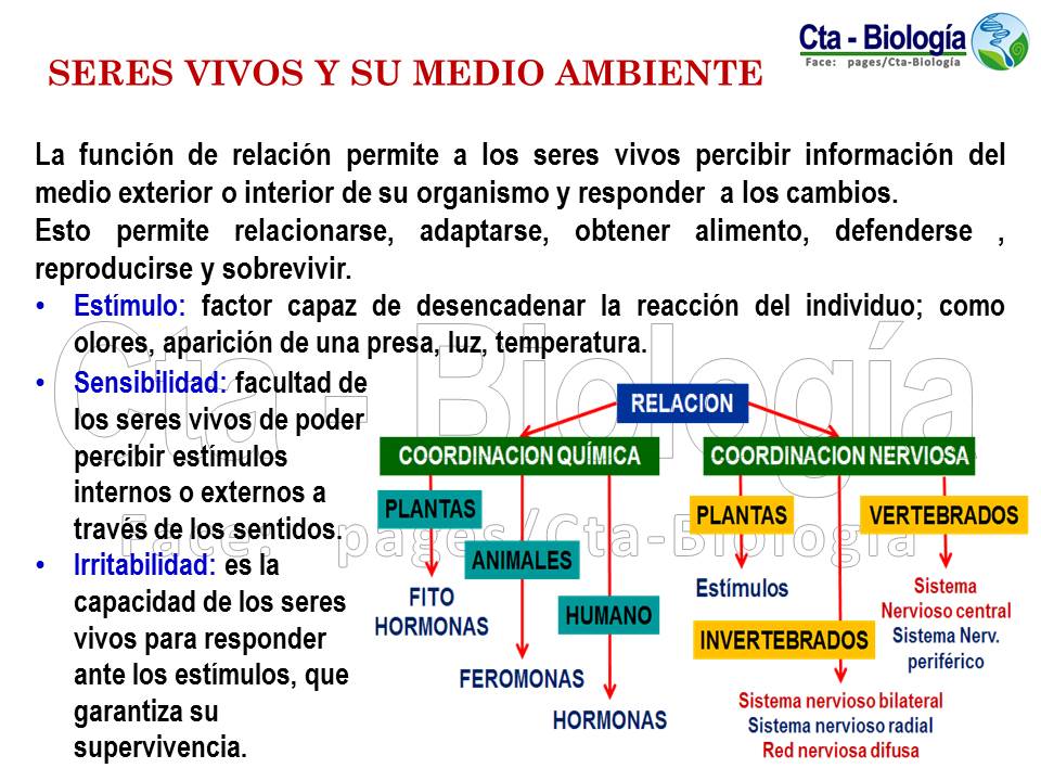 Biología didáctica: NSC 4° - Seres Vivos y su Medio Ambiente