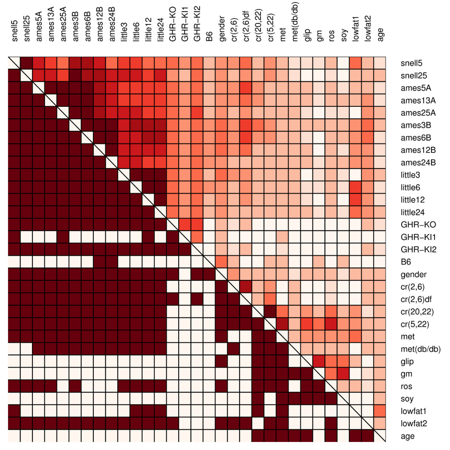 Map analysis: Correlation Matrix