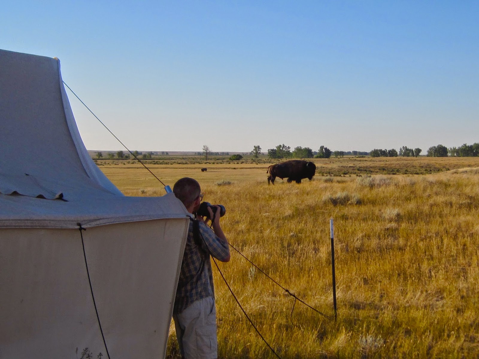 Adventures on the Prairie : American Prairie Wildlife