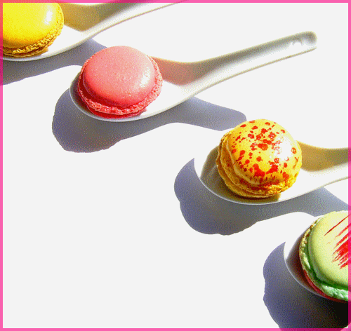 Macarons & Cie: Histoire du Macaron.