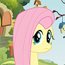 Pony Petting Simulator Fluttershy | My Little Pony Games - Friendship ...