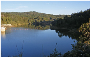 COLOMBIA UN PARAÍSO TERRENAL