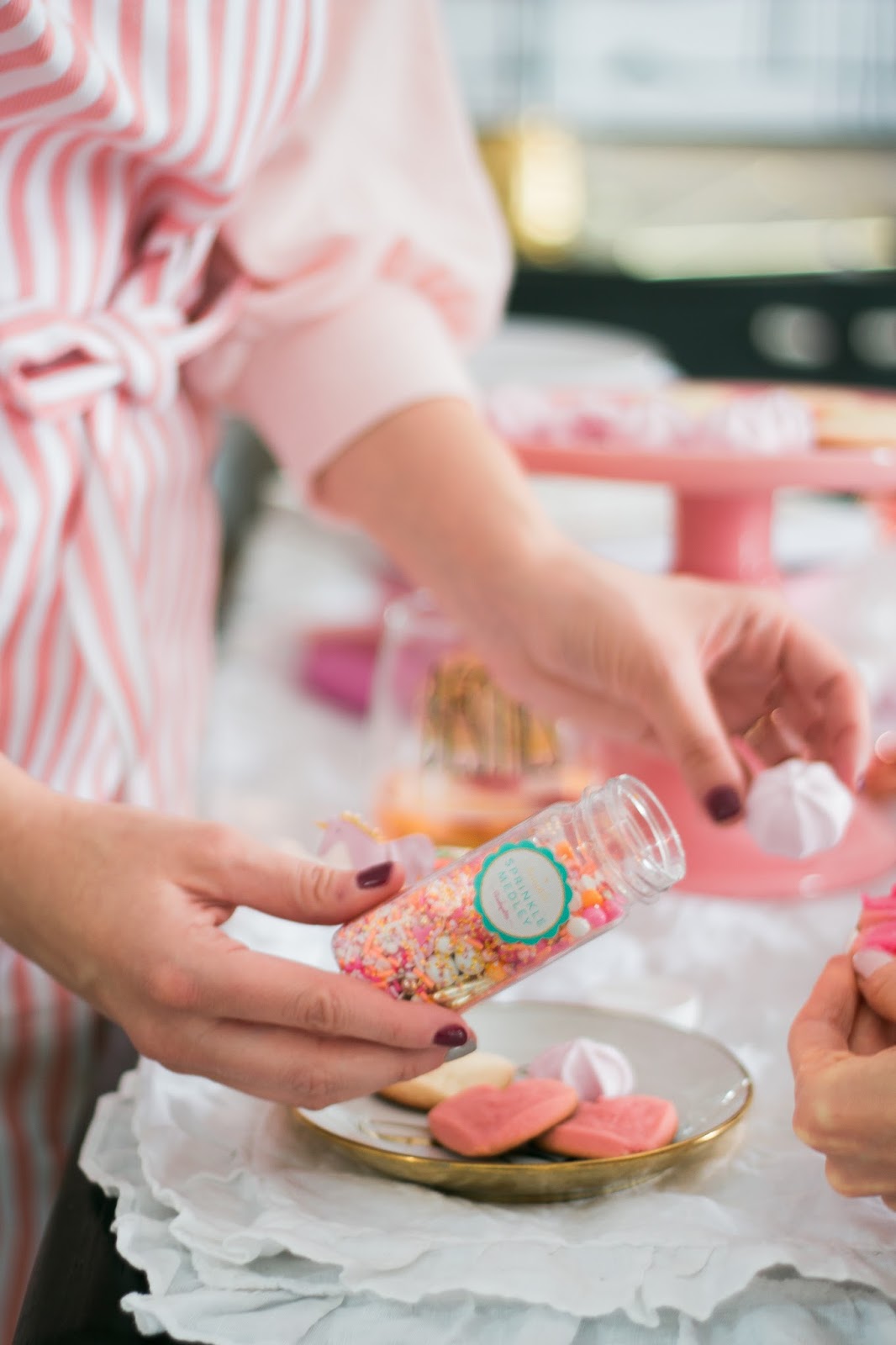 Galentine’s Day – How To Host a Cookie Decorating Party on A Budget ...