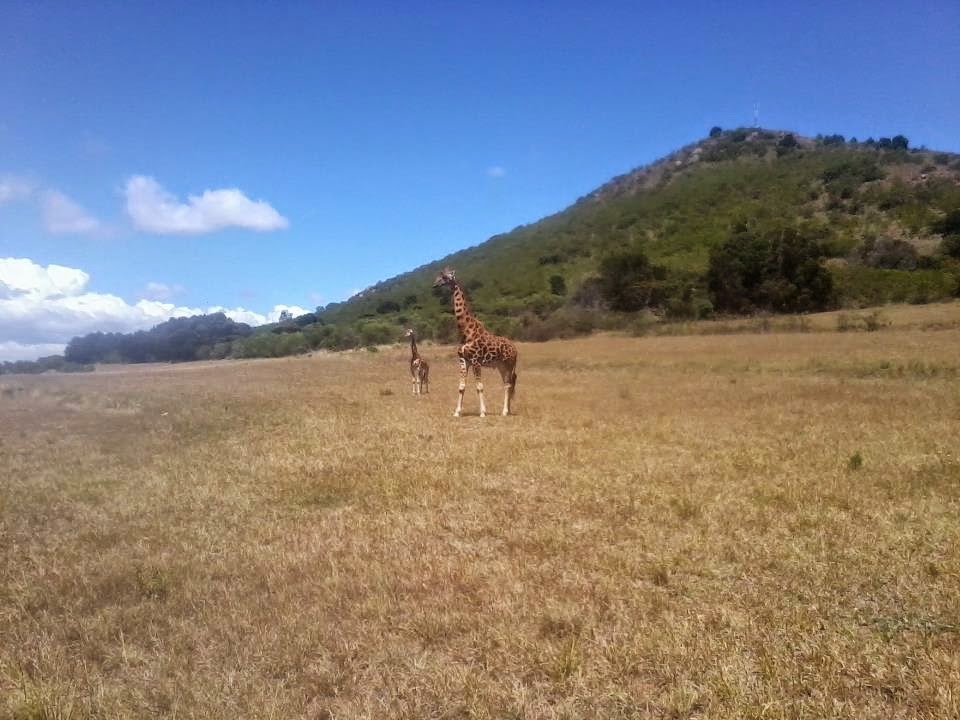 JOURNEY OF A PEACE WORKER: Remembering Sergoit