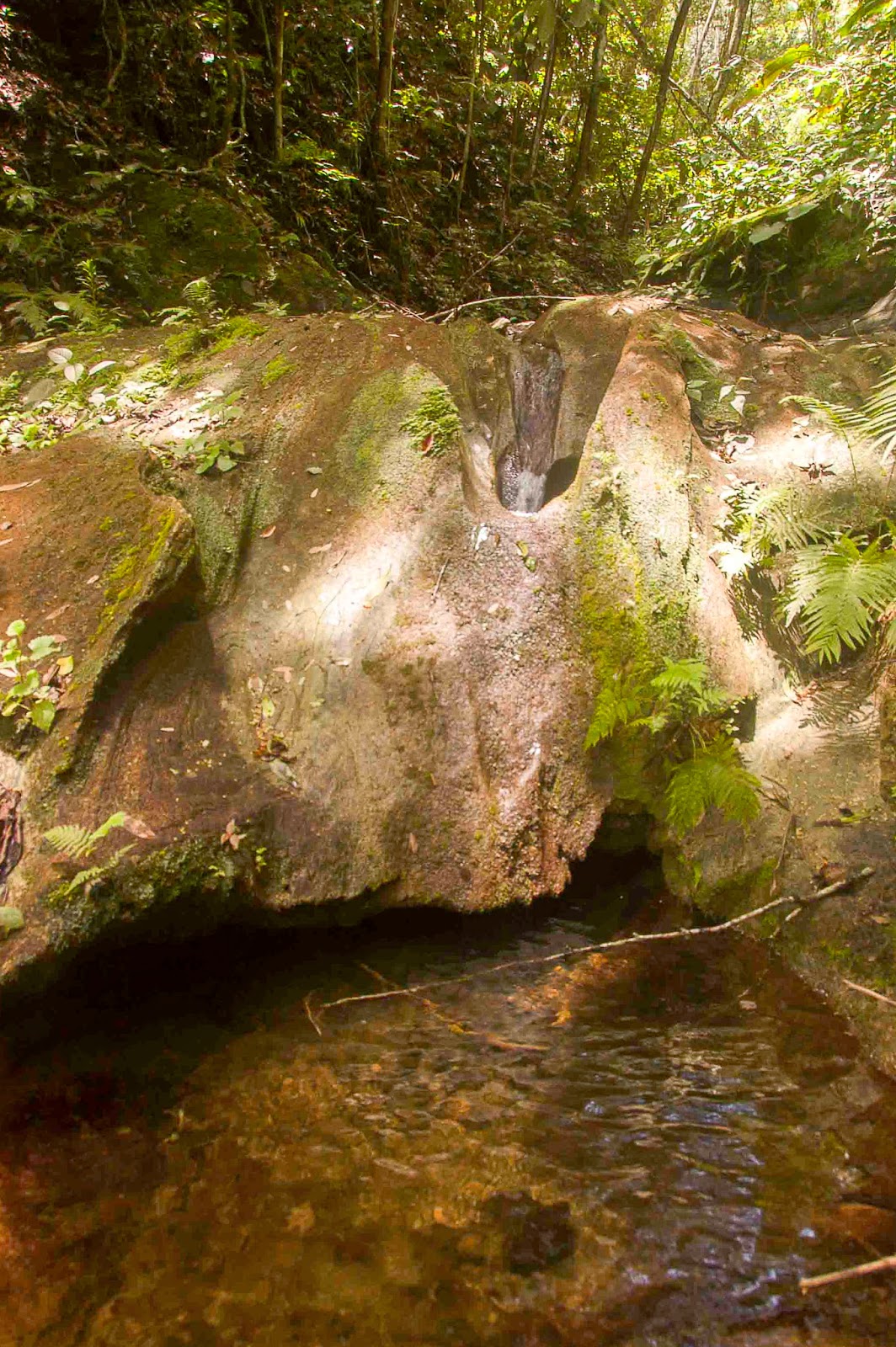 Las Tierras Del Ensayo : marzo 2015