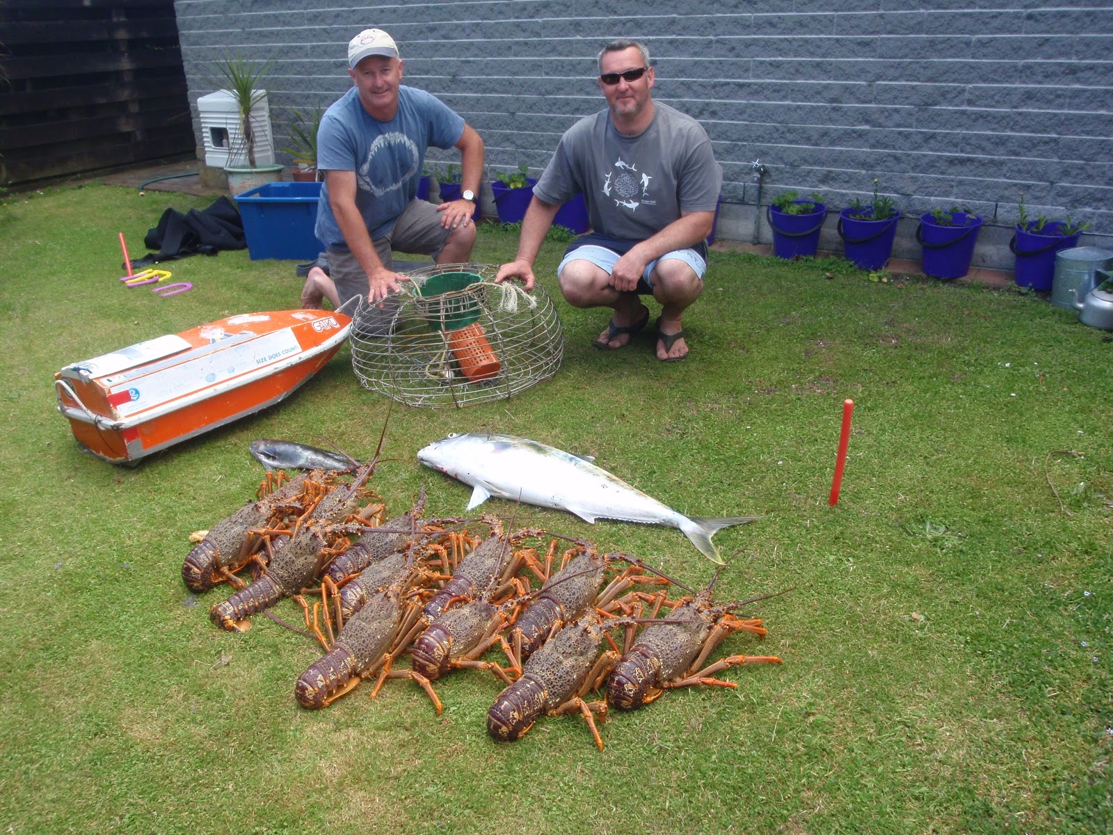 Salt Life Blog: Diving and Spearfishing in New Zealand