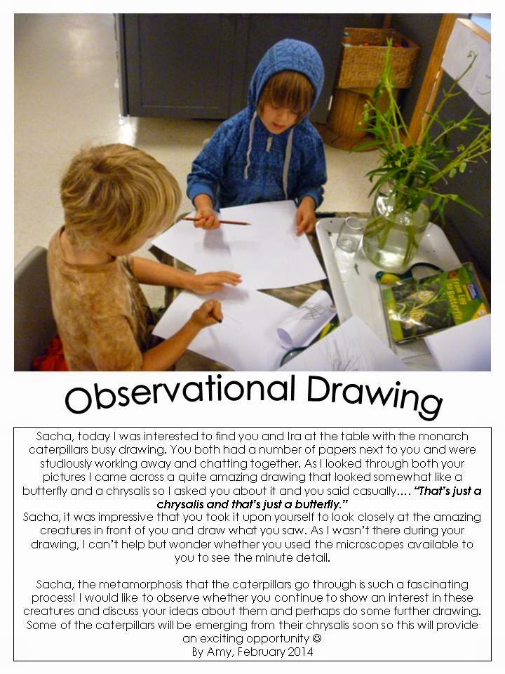Sacha Hosking: Observational drawing