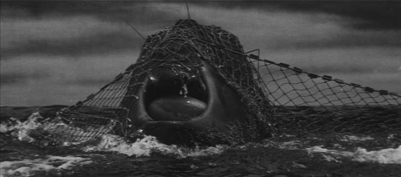 Cool Ass Cinema: Whale God (1962) review