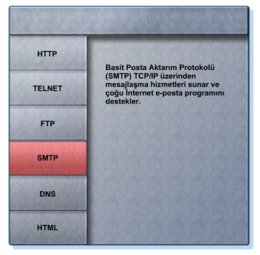 ebi: AĞ PROTOKOLLERİ