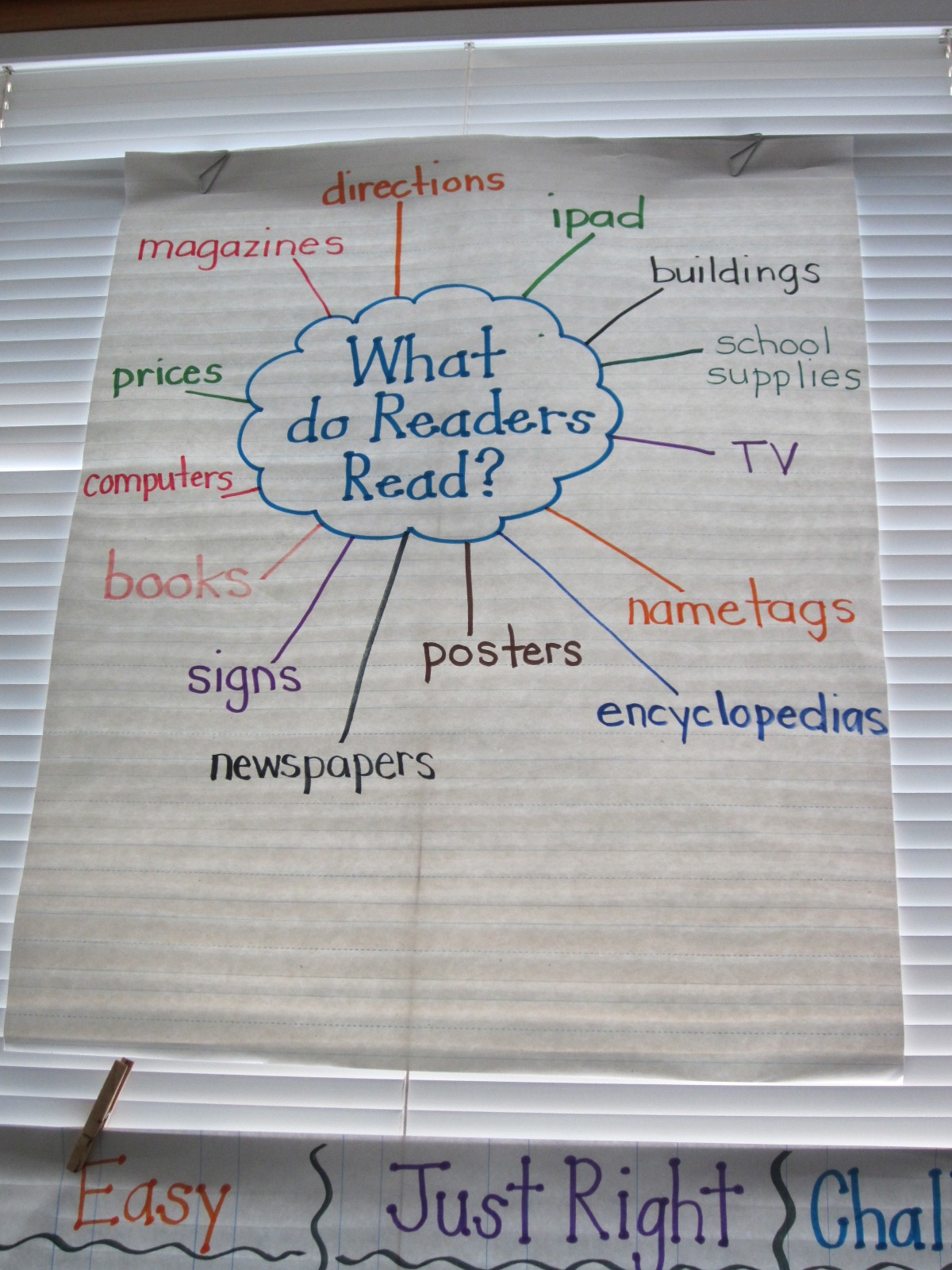 Lacy's Letters: Reading Anchor Charts