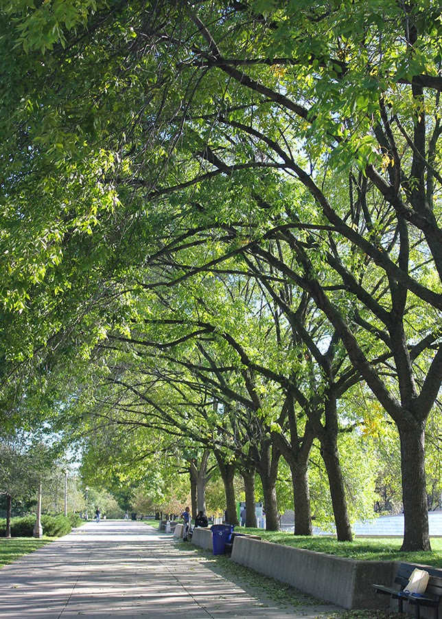 ArchitectureChicago PLUS: Sea of Foam at Maggie Daley; Matt Urbanski ...