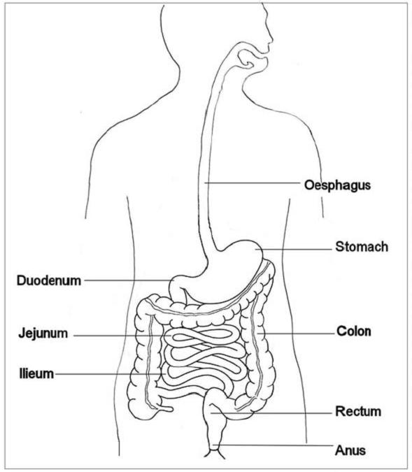 Me and IBD - The BLOG ROLL: Crohn's and Surgery Part 1 - When It's ...