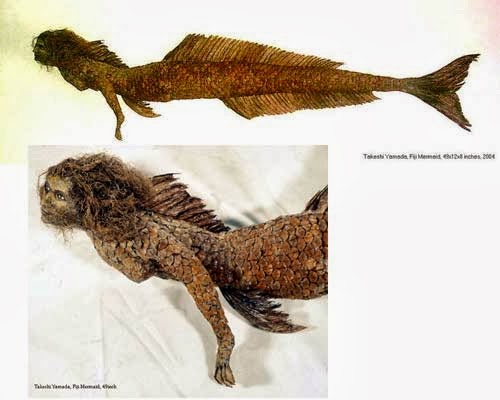 Infojelita: Gambar-Gambar Ikan Duyung yang Real