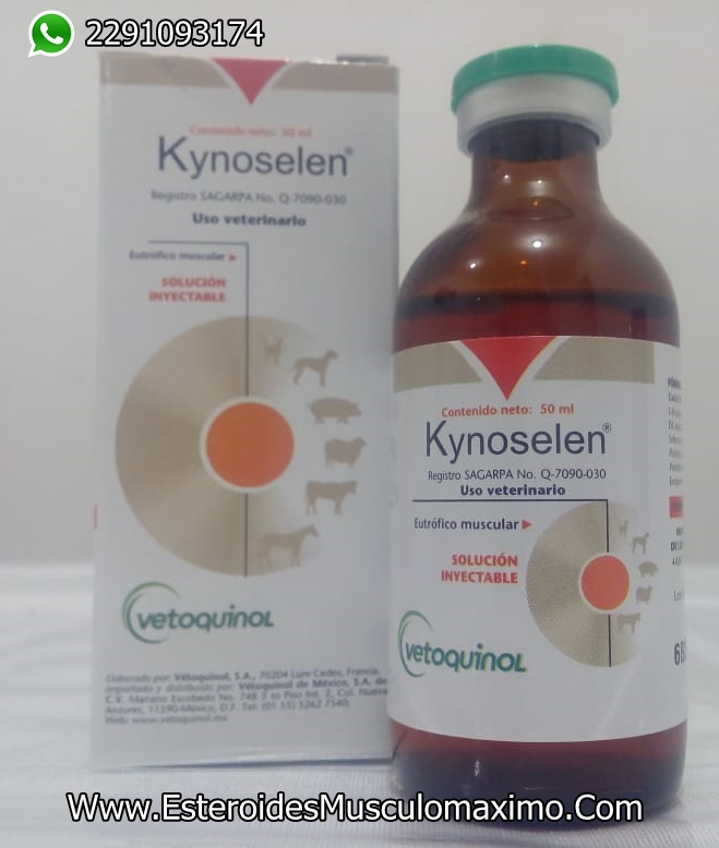 Kynoselen 50 ml x 50 mg - precio ( $500 pesos ) | Musculo Musculo