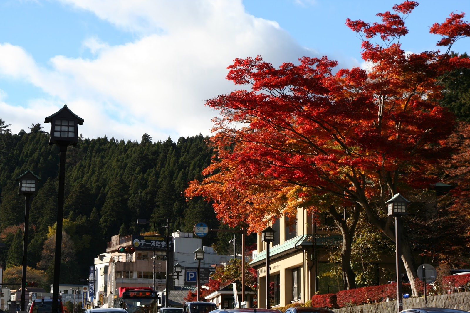 To See the Seven Continents: Nikko, Japan