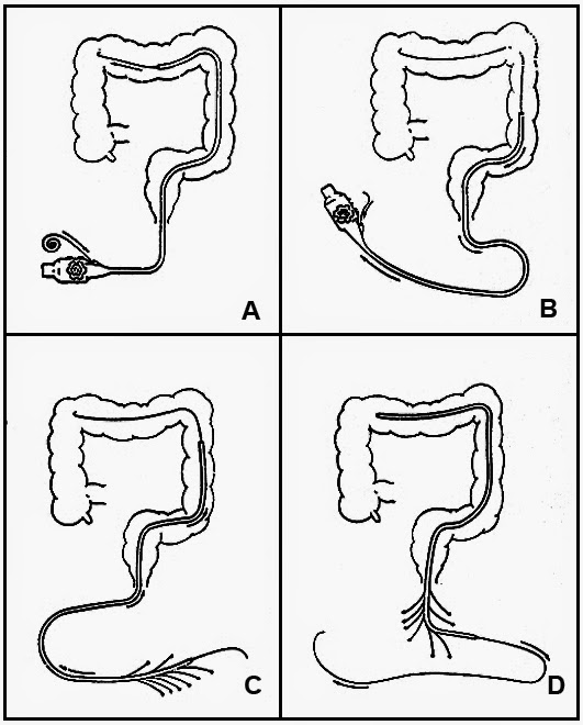 I am fearfully and wonderfully made: Motility