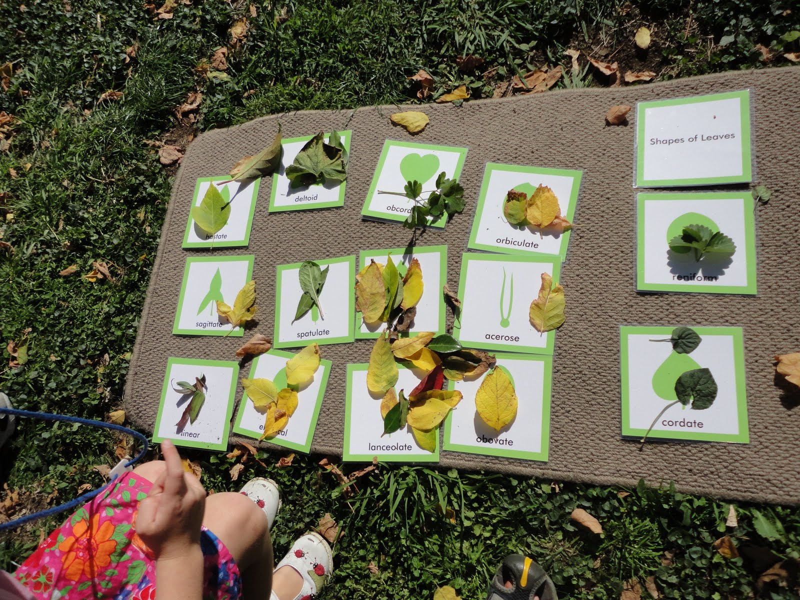 Waikato Montessori Journal