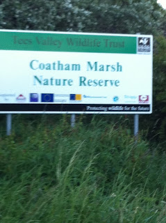 Redcar, North Yorkshire, UK.: Coatham Marsh Nature Reserve images