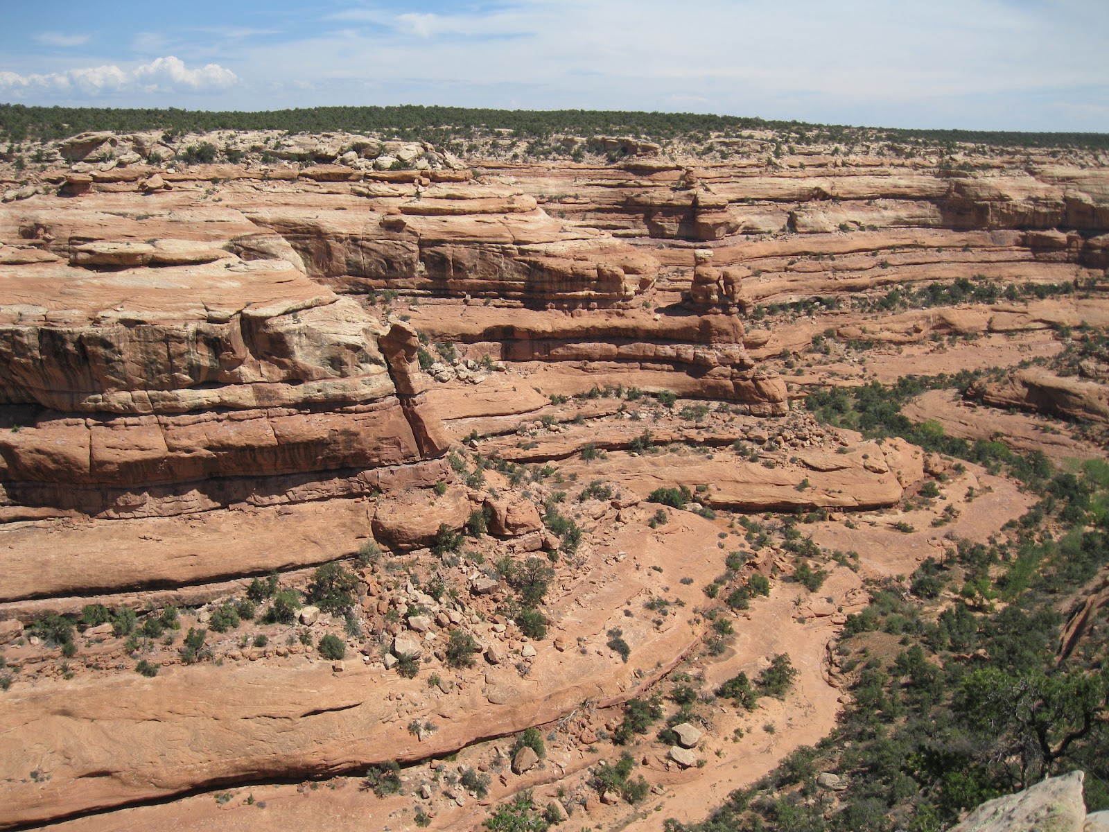Four Corners Hikes-Cedar Mesa in Utah: Lime Creek Canyon South Rim