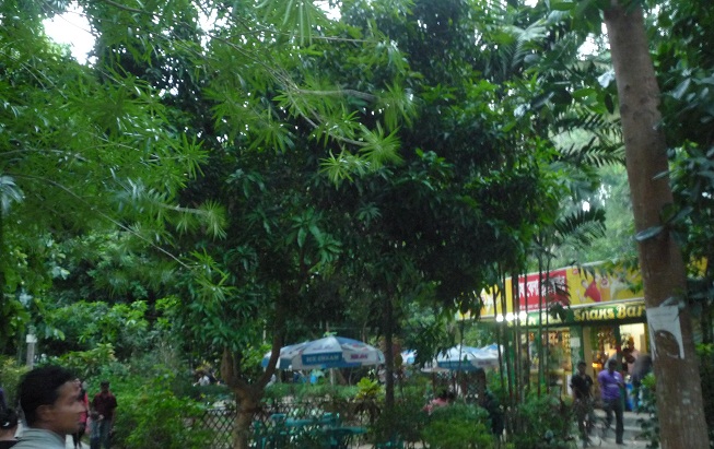 Homna - Comilla: Dhormo Sagor and Municipal Park | Comilla City