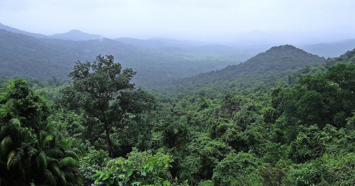 Great Himalayan National Park - Saylke