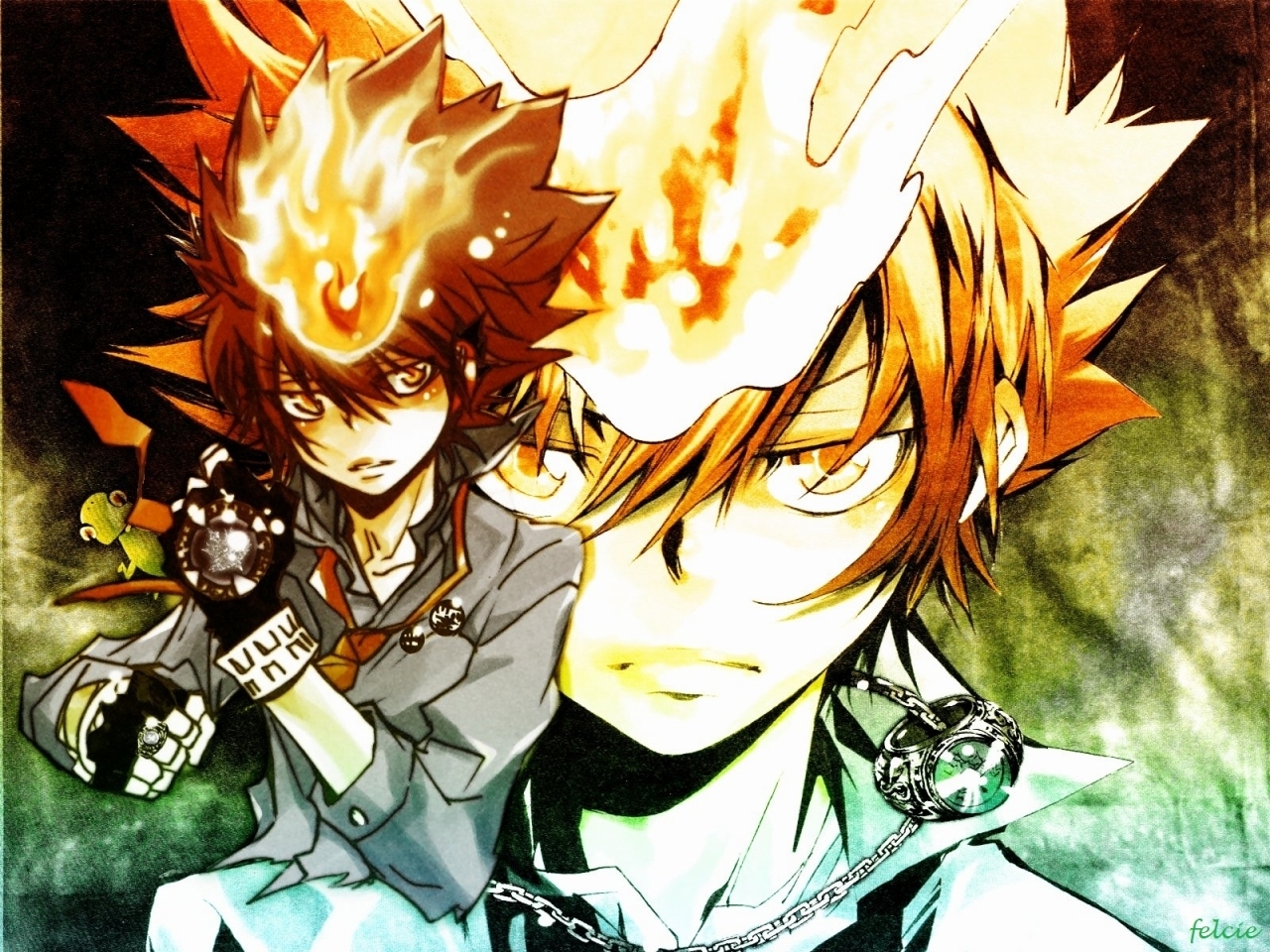 My anime world: HDWM Tsuna